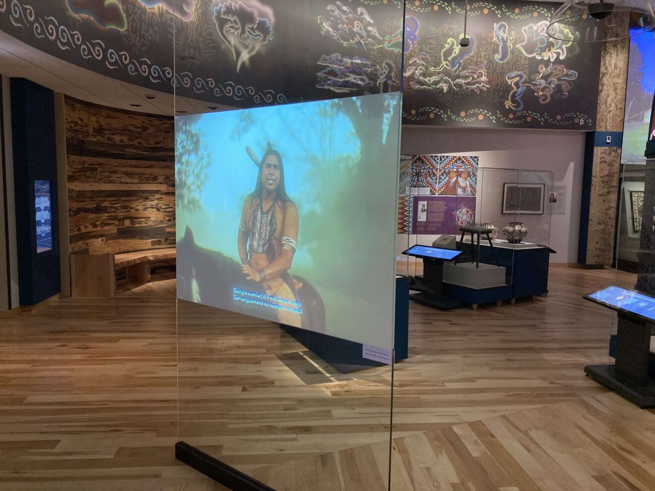 Home - Rear Projection Films